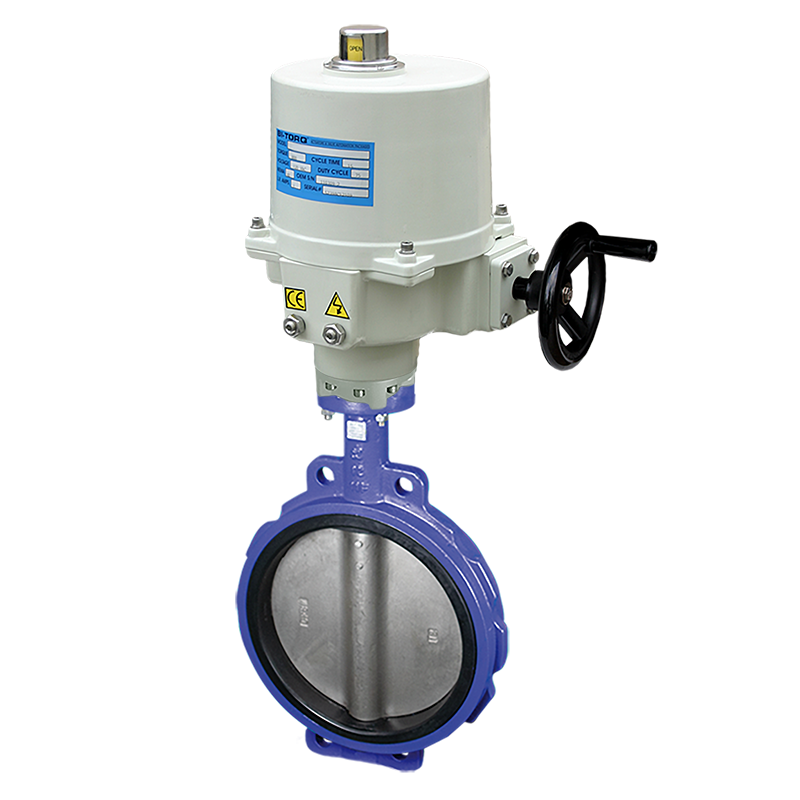 Wafer Style with Electric Actuator | Strahman Group